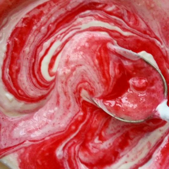 Raspberry and Coconut Ripple Ice Pops | meekgonewild